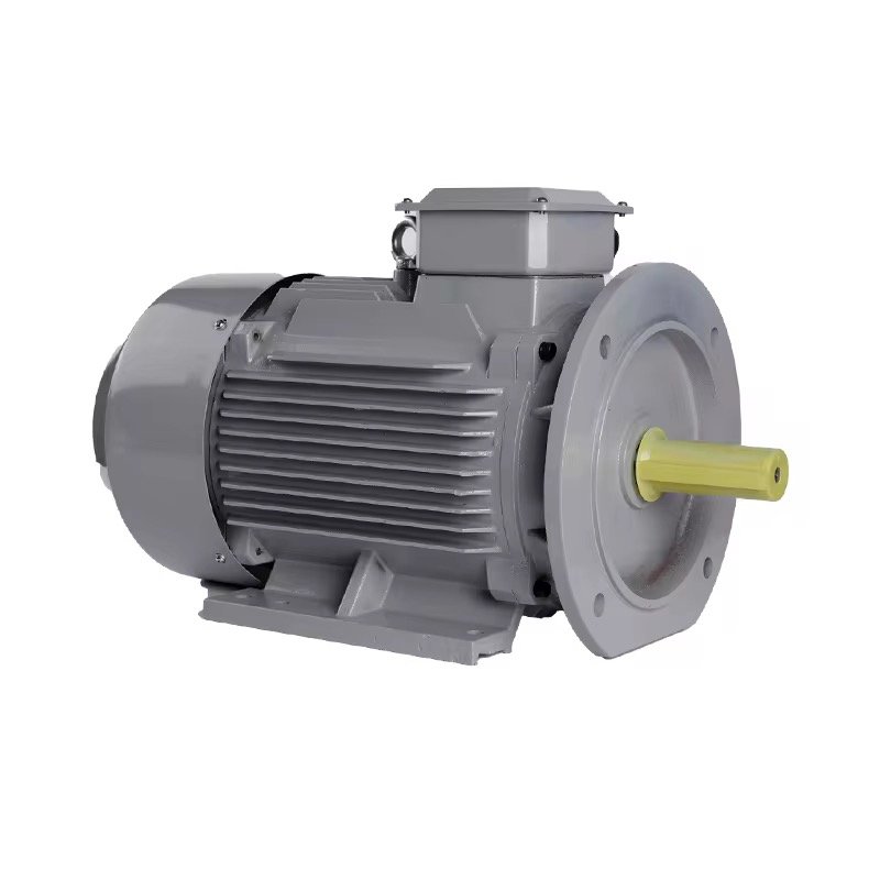 22Kw 30Hp Induction Motor - Three Phase Motor | DE Lanka
